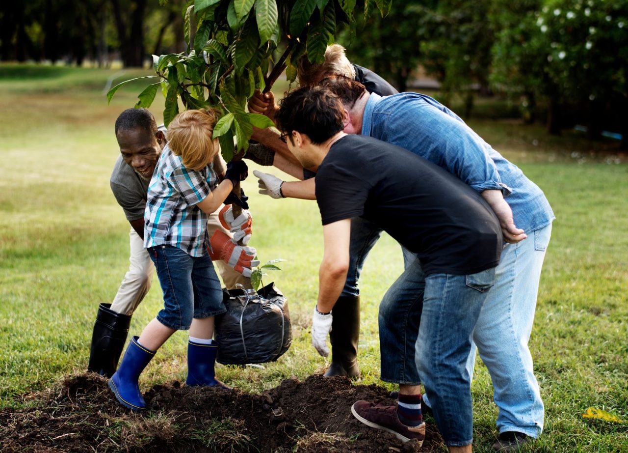 Ebbsfleet GreenMap - Ebbsfleet Garden City